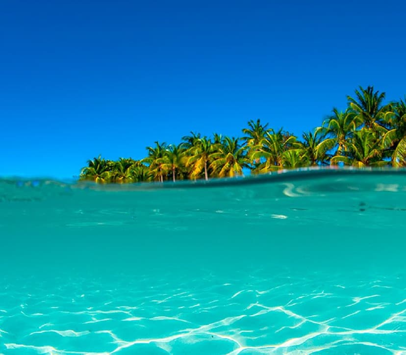 Discover Roatan | Turquoise Bay Dive Resort