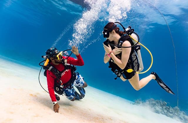 Diving Sites at Roatan | Turquoise Bay Dive Resort